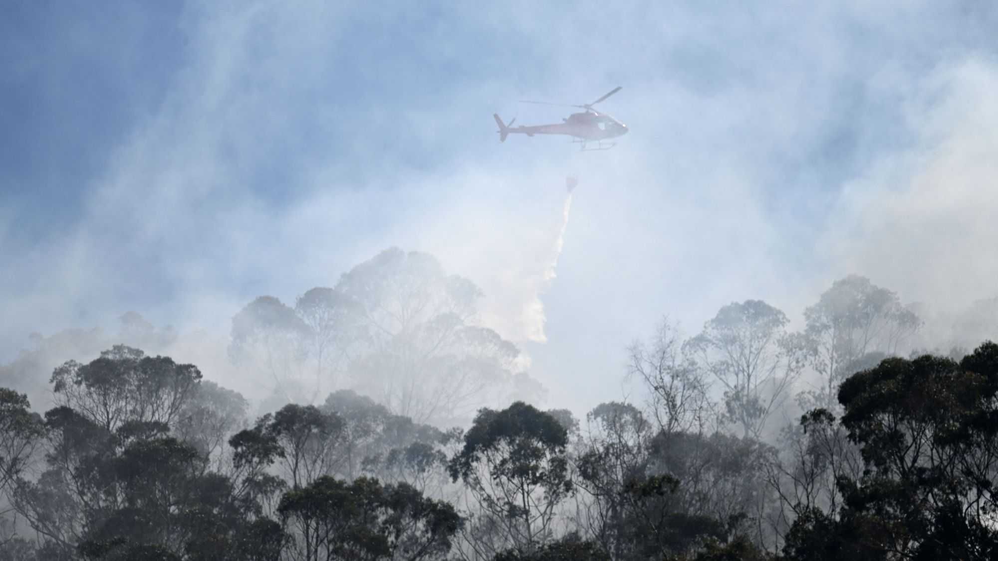 Suben a 21 los incendios forestales en Colombia en medio de récor...